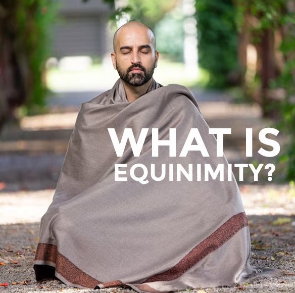 What Is Equinimity? Meditation and Mindfulness In Everyday Life ...